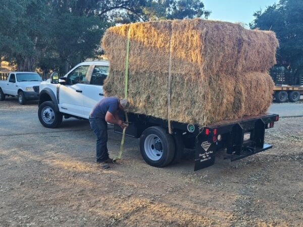 WHAT IS A FLATBED BODY?