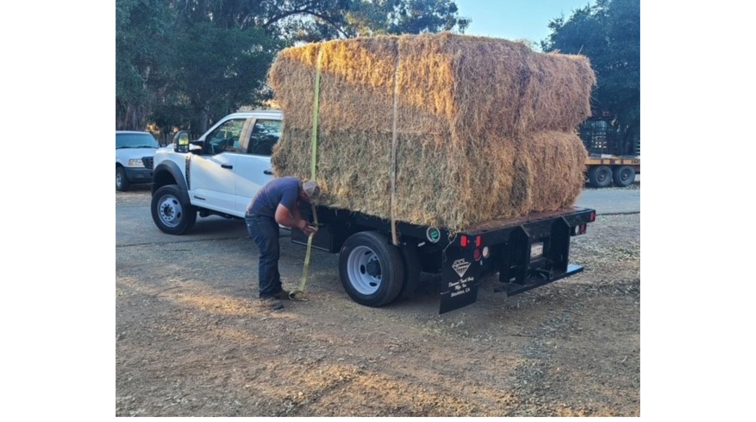 WHAT IS A FLATBED BODY?